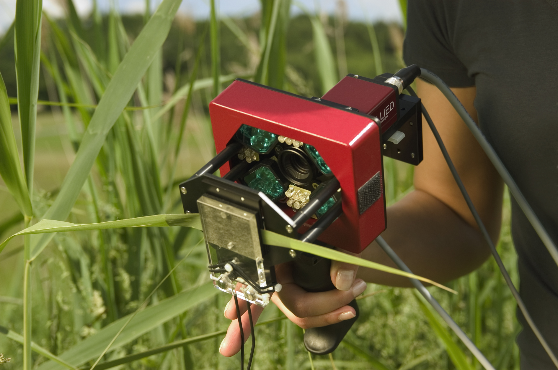 Green Spectrum Technology Pvt. Ltd. | Plant Science, Environmental ...