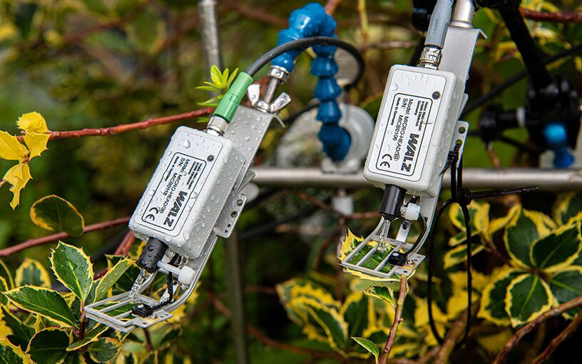 Green Spectrum Technology Pvt. Ltd. | Plant Science, Environmental ...