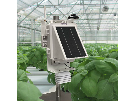 Green Spectrum Technology Pvt. Ltd. | Plant Science, Environmental ...